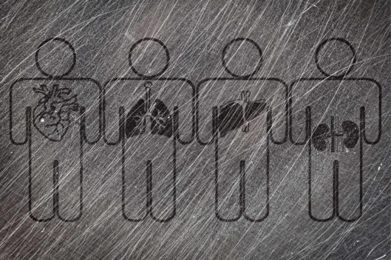 Illegal Organ Harvesting Scandal ROCKS New Jersey | Republican Post